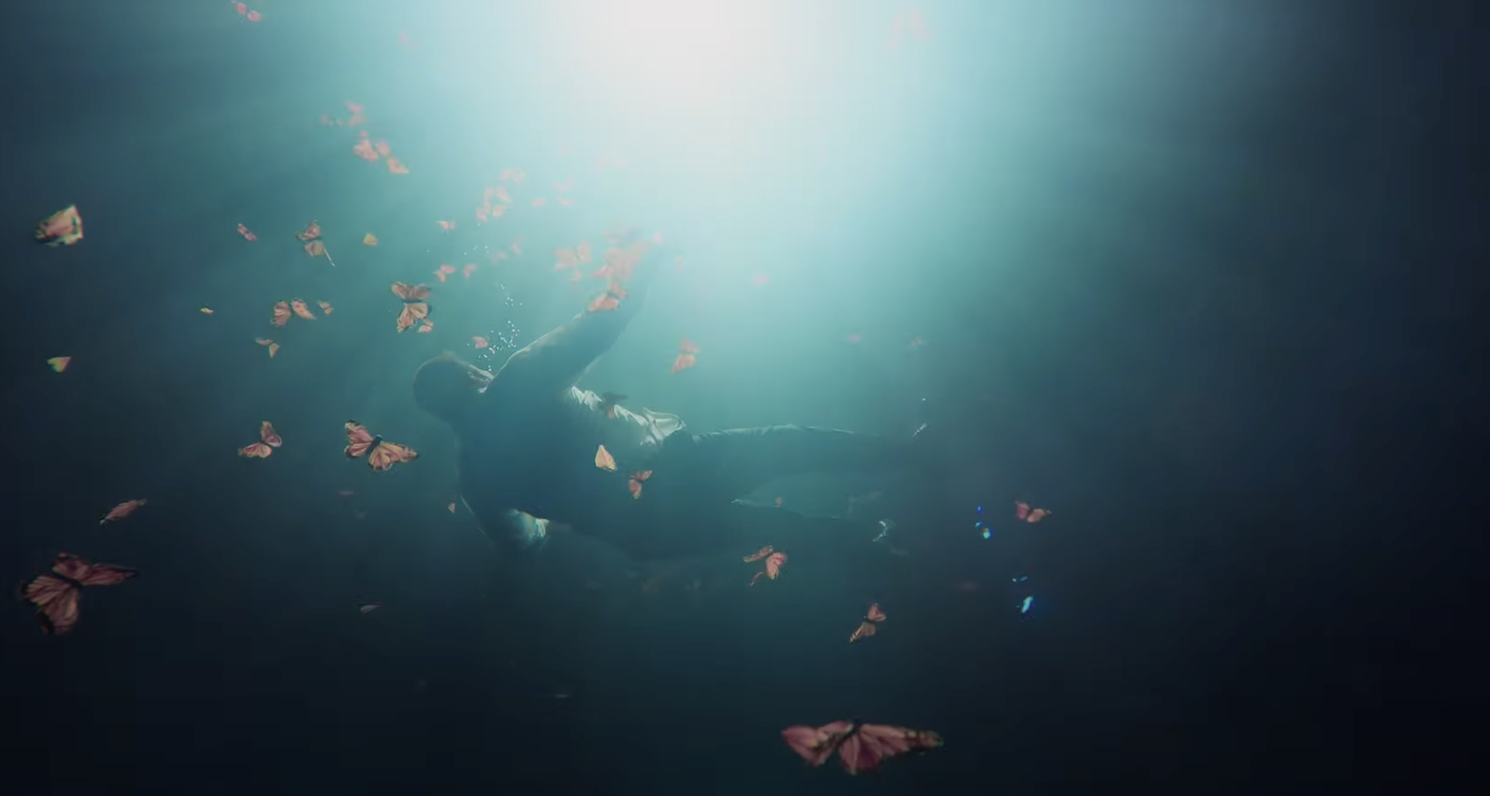 Trailer Oficial: El Guardián de las Monarcas – Cinembrollos